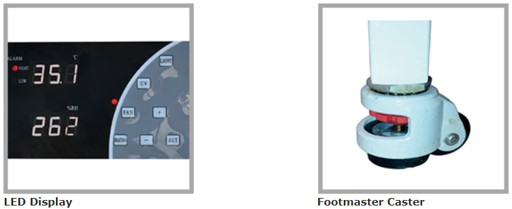 Biobase Spf Chicken Feeding And Poultry Disease Testing Chicken ...