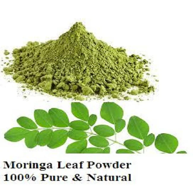 Moringa Leaf Powder - 100 % Export Quality Manufactured In India - Buy ...