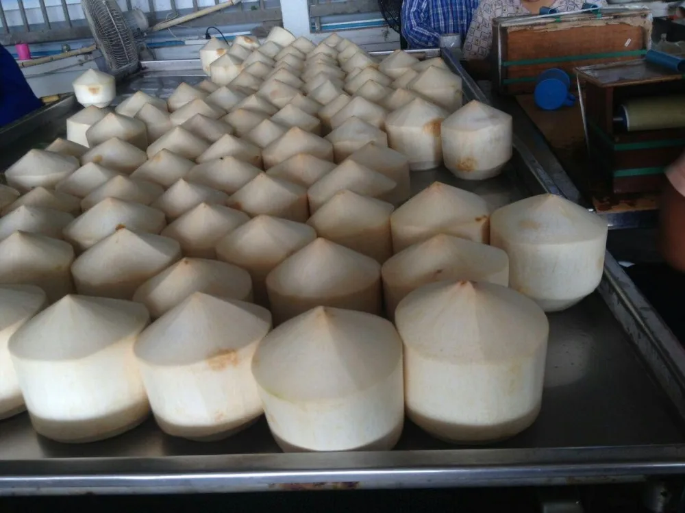 Coconut Diamond in Vietnam - Best Price & Fresh Quality