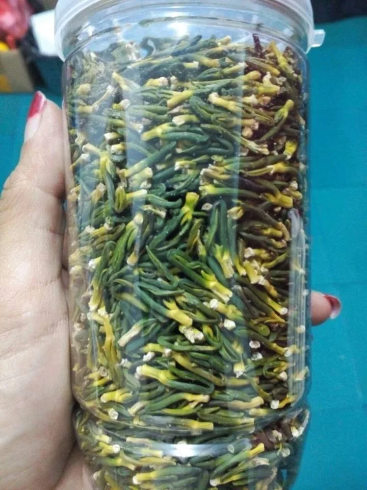 Heart Of Lotus Seed Lotus Plumule Scented Tea - Buy Dried Plumule Lotus ...