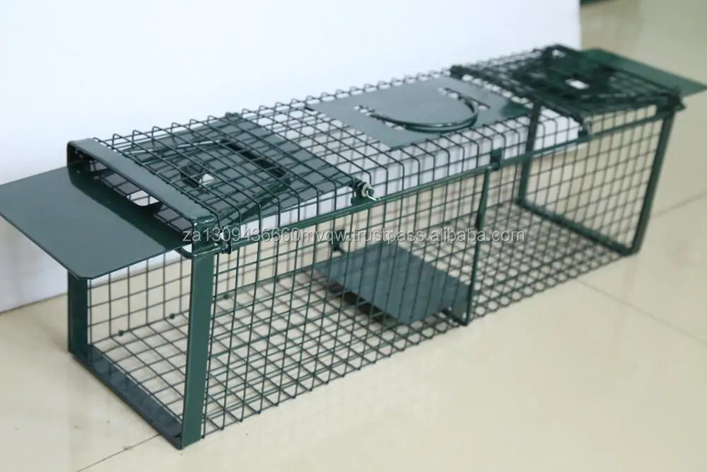 Multi Catch Animal Cage /Bird Catching Cage /Bird Pigeon Cage Trap ...