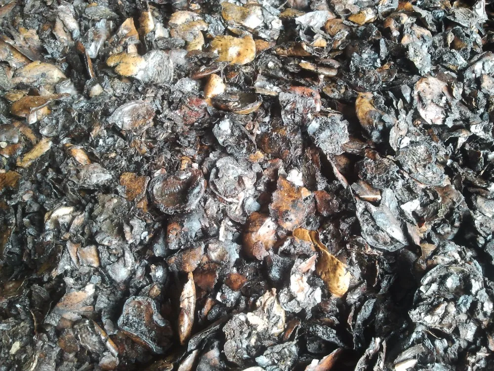 Cashew Nut Shell Waste from Vietnam for Fueling Purposes