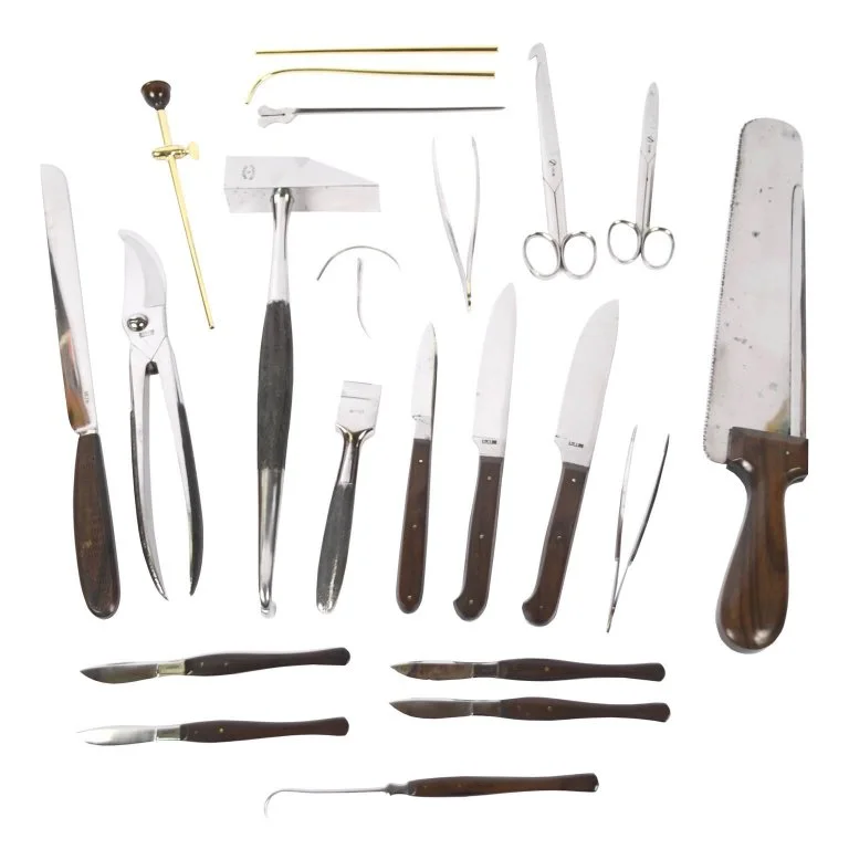 Amputation Instruments Set - Quality, Safety, and Efficiency