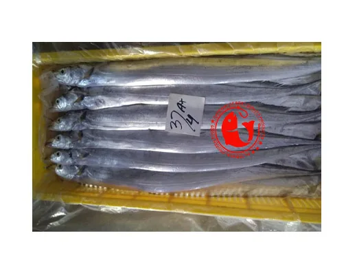 Ribbon Fish From Arabian Sea Ready For Export In Bulk Frozen High ...