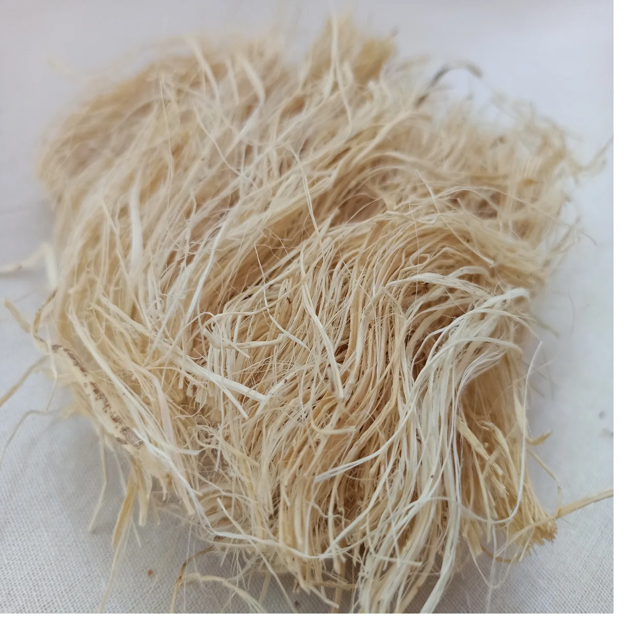 Ramie Cut Fibers - Versatile for Spinning and Technical Uses