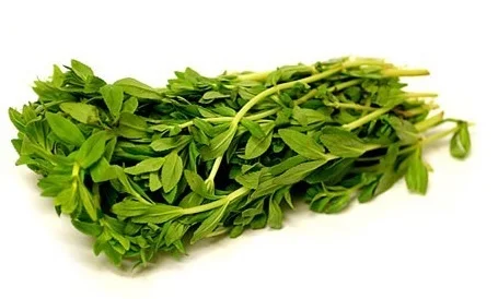 Natural Dried Phak Khayang Leaf Rice Paddy Leaves Kayang Leave Contact ...