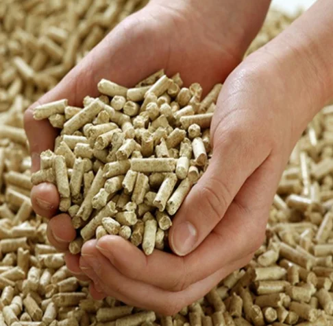 Pine White Pellets With Certificate En Plus A1 / Pack 15 Kg - Buy Pine ...