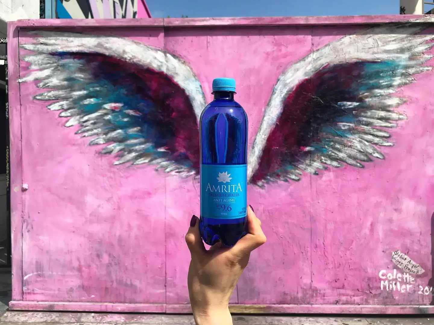 Amrita Alkaline Anti-aging Mineral Water 1l Still Sparkling Ph9 - Buy ...