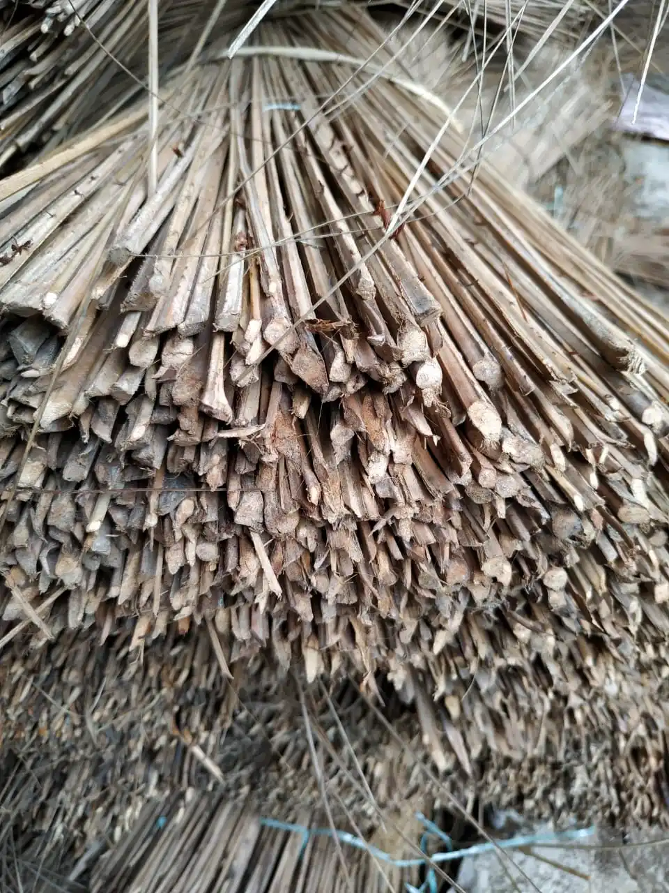 Palm Ekel BroomSticK -Coconut Leaf Stick for Cleaning Home- Coconut ...