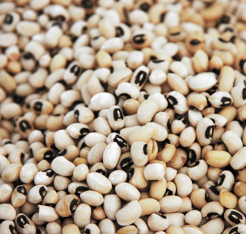 White Cowpea/black Eye Bean (vigna Beans) - Buy Beans Black Eye,Beans Black Eye For Sale,Beans ...