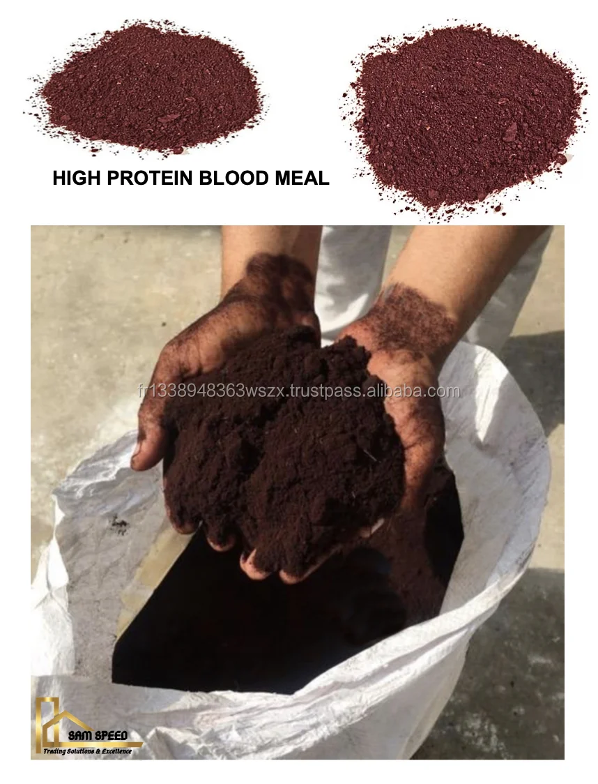Dried Blood Meal - Hemoglobin Powder For Animal Feed | Poultry Feed ...