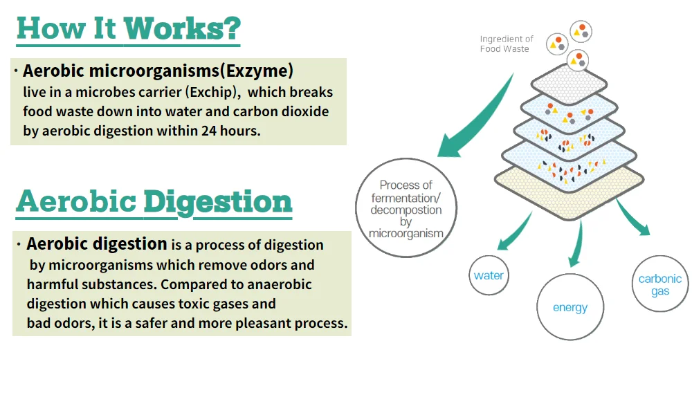 Exbio 10kg Aerobic Food Digester Food Waste Machine For Small Kitchen ...