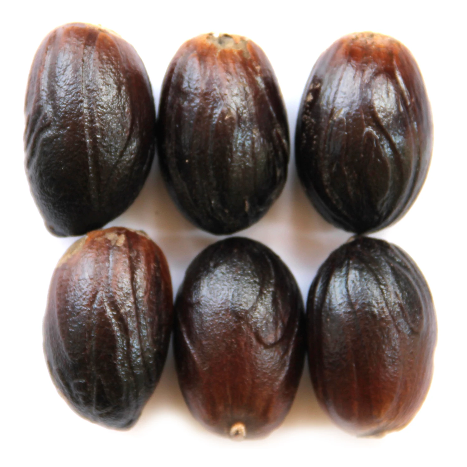 Organic Nutmeg & Mace - Premium Spices from Sri Lanka