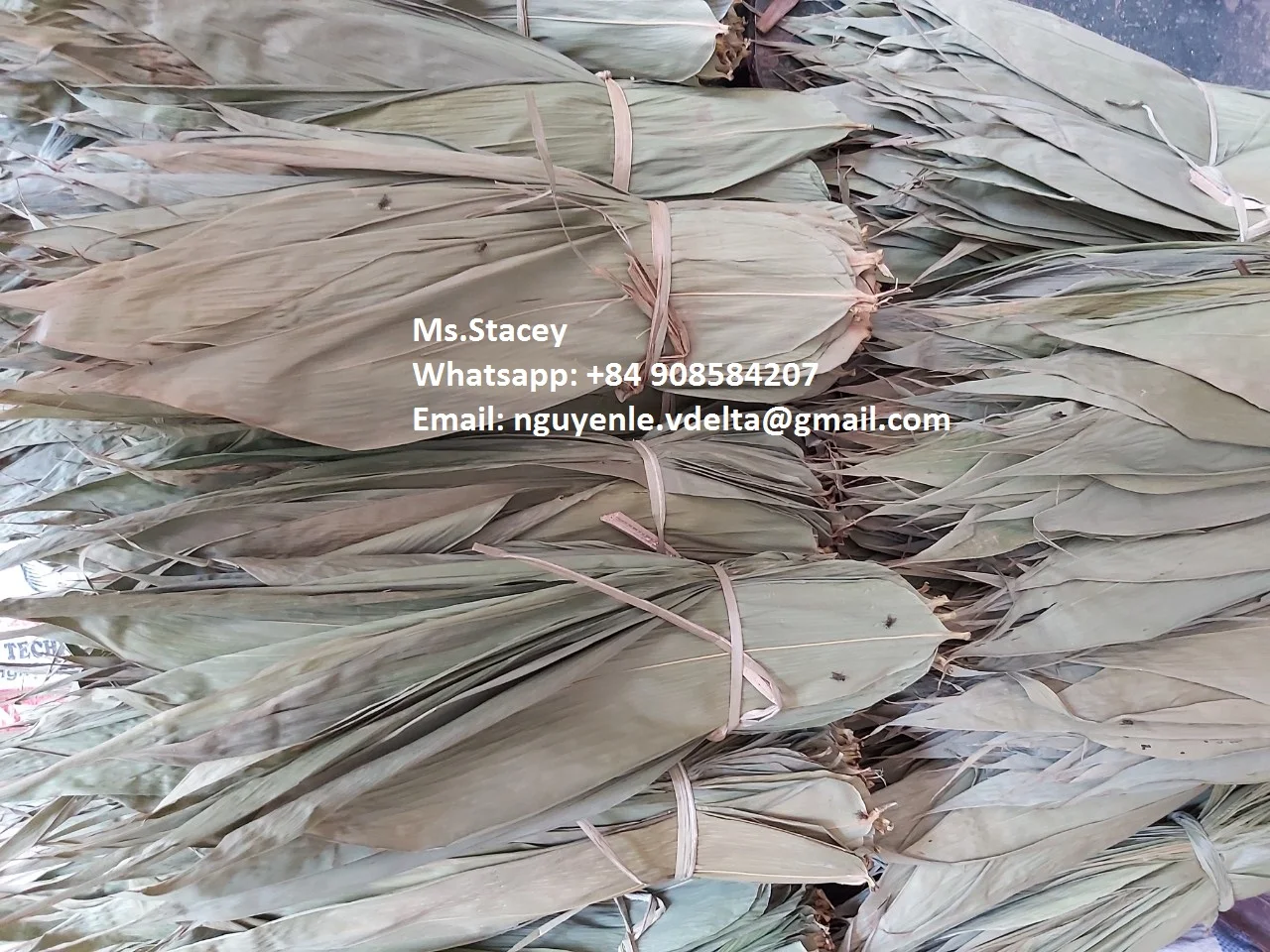 Bamboo Leaf Sushi Decoration - Dried Bamboo Leaves from Vietnam