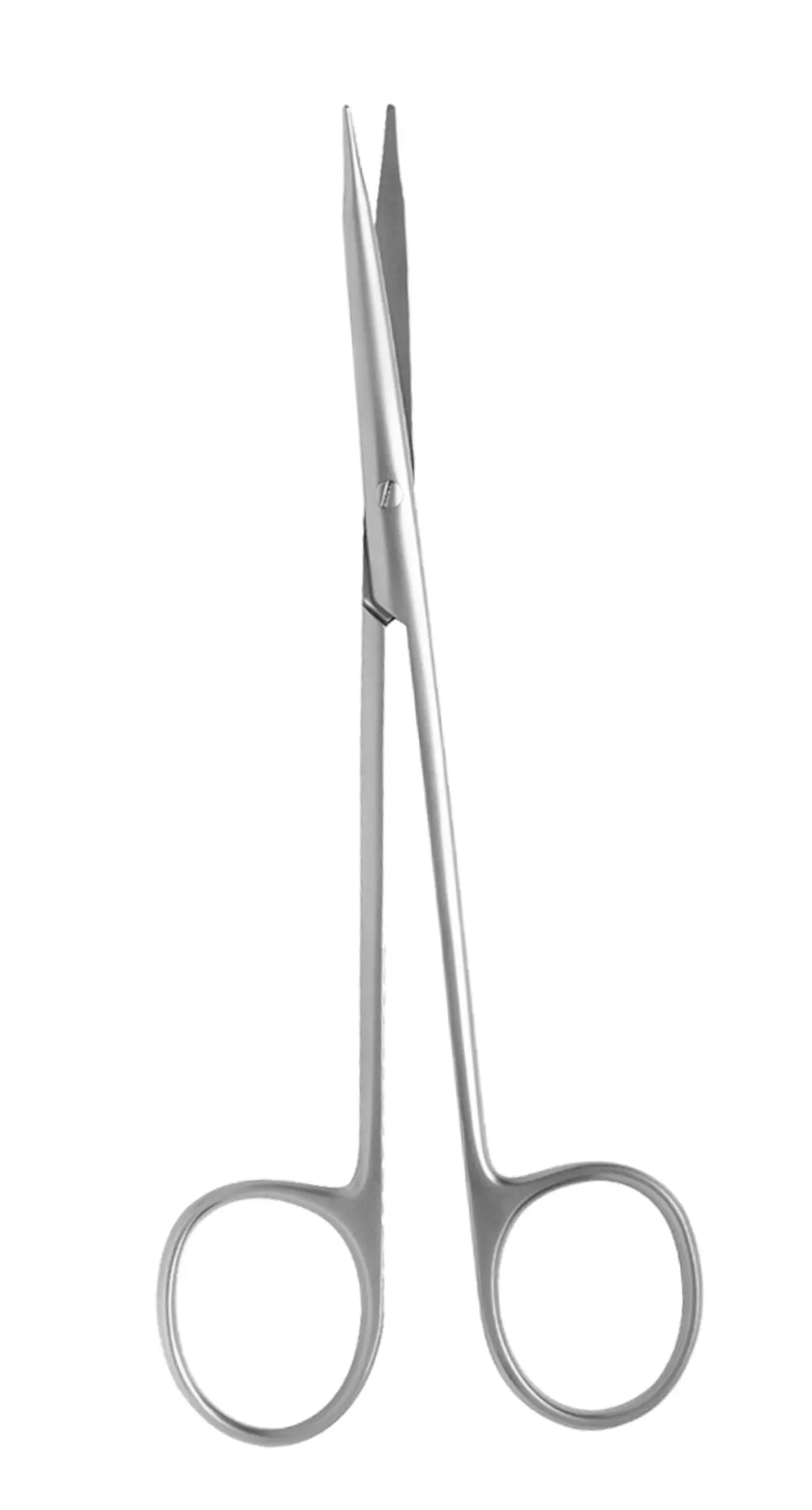 Dental Surgical Scissors Reynolds Jameson Tenotomy Delicate Scissors 13 ...