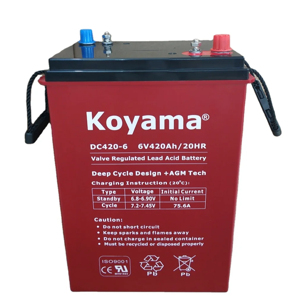 6V Golf Cart Batteries - Reliable Power for Electric Vehicles