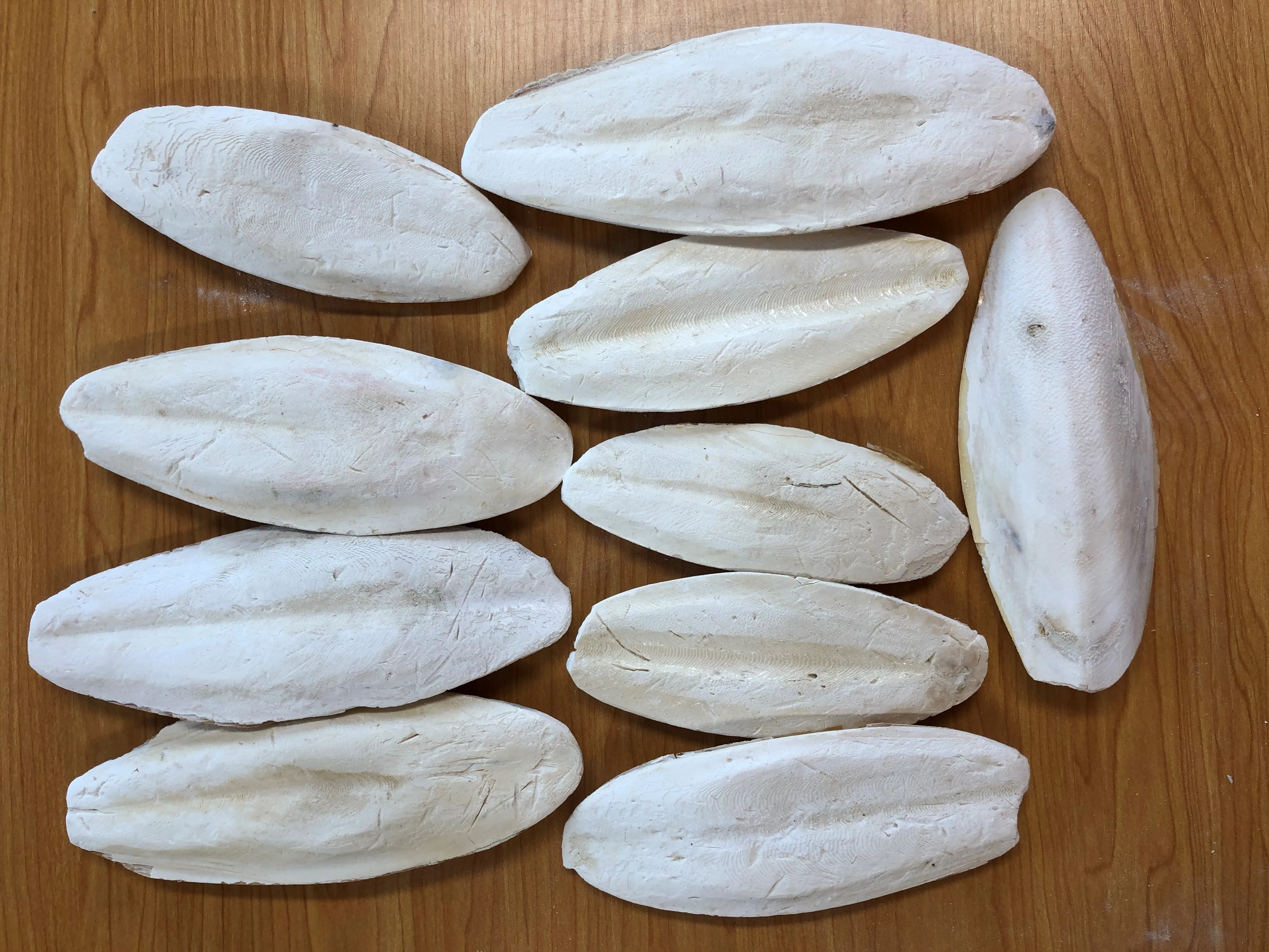 CHEAP CUTTLE SQUID BONE/ the GOOD PRICE for INDUSTRIAL WASTEWATER ...