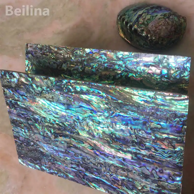 High Quality Abalone Shell for Bowl Gift and Decoration