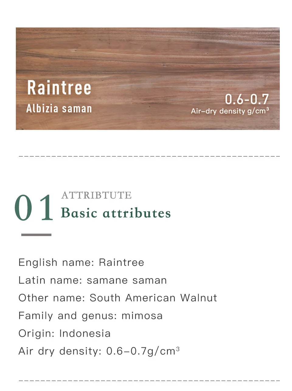Rongyuanwood Raintree Timber - Quality for Furniture & Flooring