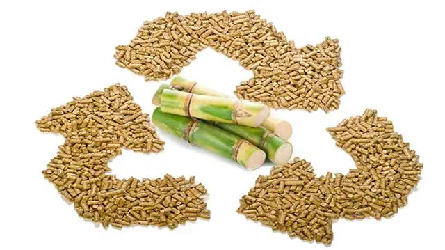 Dried Corn Silage Pellets From Vietnam With Best Price 2022 (wholesale) - Buy Corn Pellet Sale ...