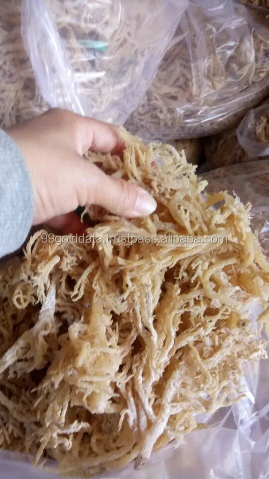 Wholesale Spinosum Seaweed / Dried Eucheuma Cottonii Sea Moss / Irish ...