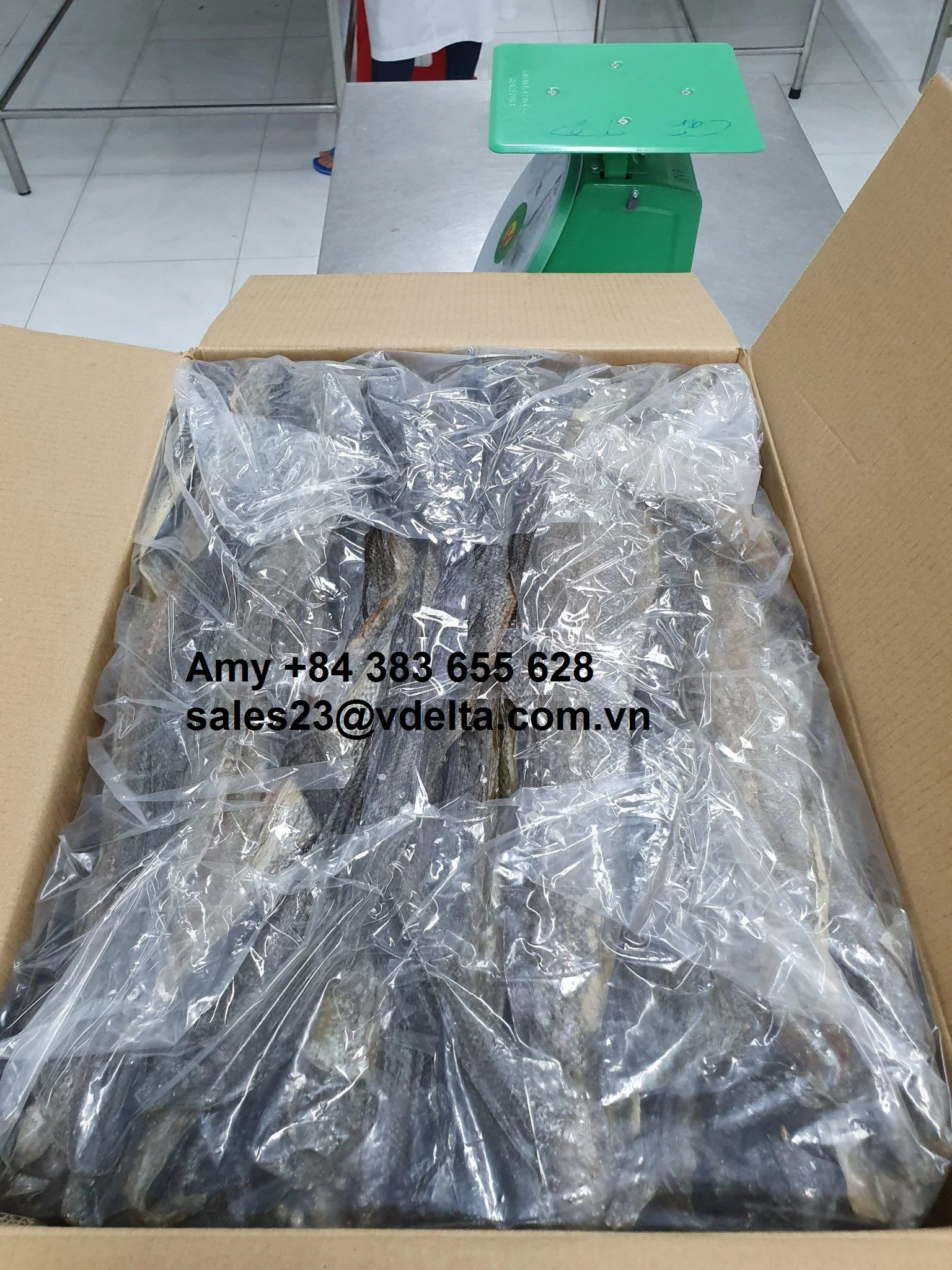 Pangasius/ Basa Fish Skin - Skin/ Cat Fish Skin Ms. Lily +84 906927736 ...