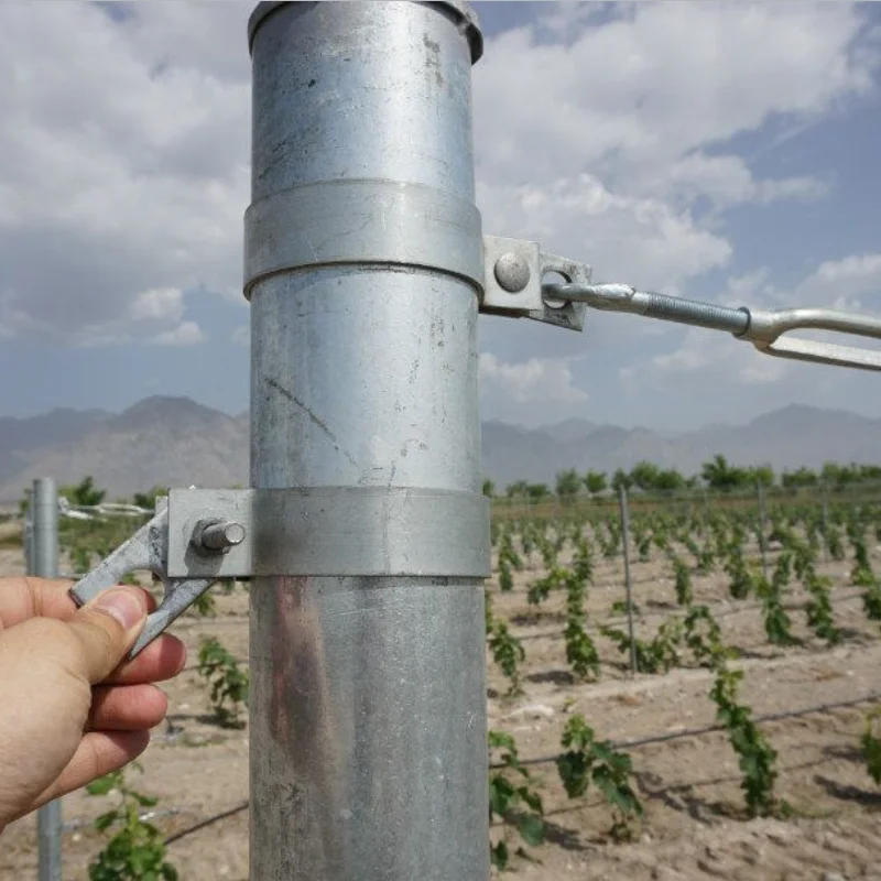 2.0-2.8m Cheap Galvanized Grape Post Steel Metal Vineyard Trellis Post ...