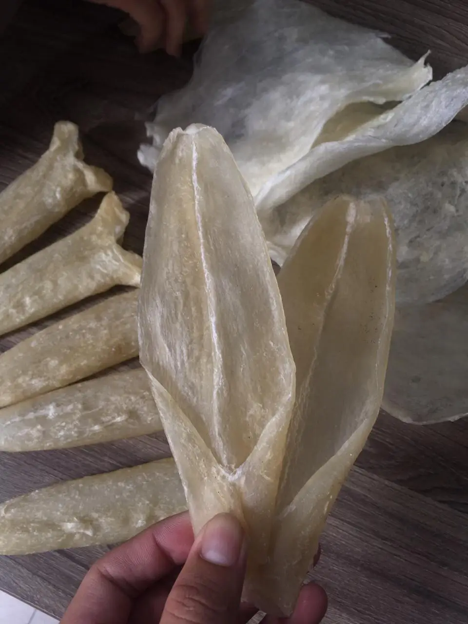 Fish Glue Rich In Collagen Dried Seafood Fish Maw Roll Natural Sun ...