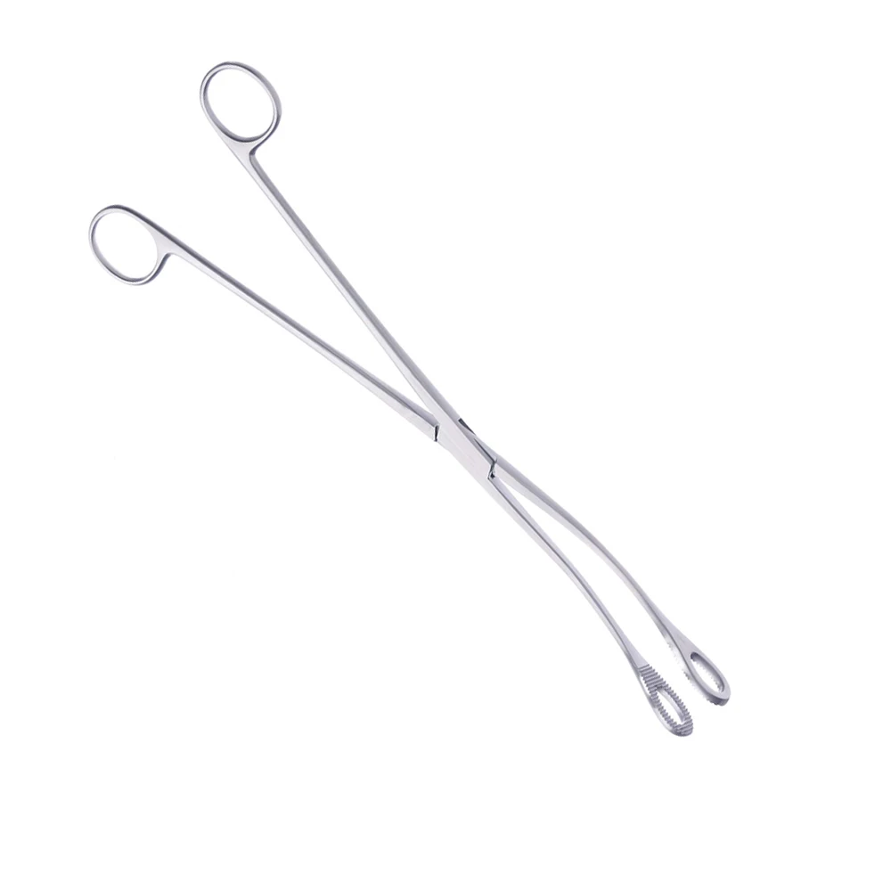 Hospital Medical Room Health Care Placenta and Ovum Kelly Placenta ...