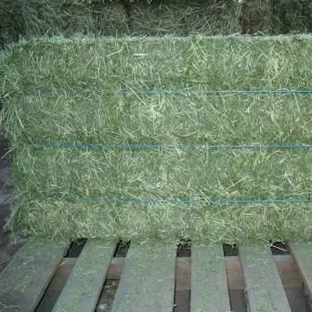 Grade A Alfalfa Hay,Timothy Hay,Animal Feed In South Africa - Buy Grade ...