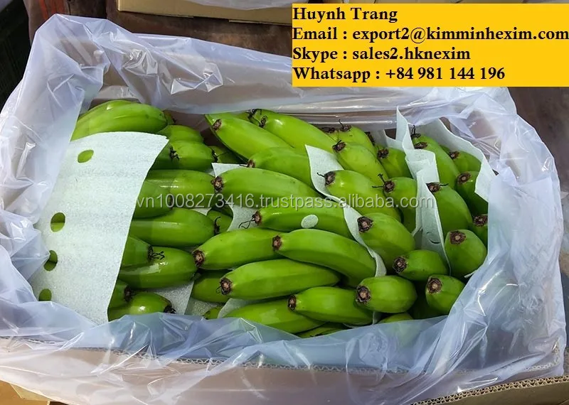 Fresh Cavendish Bananas - Premium Quality & Taste