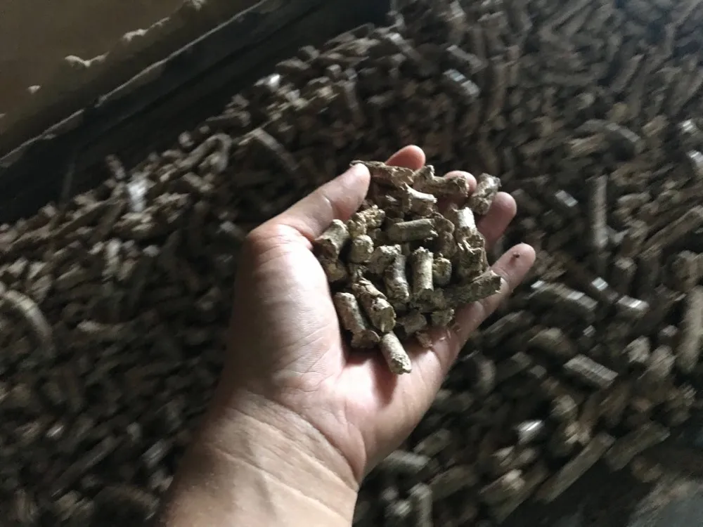 Animal Feed Cassava Residue Meal Powder High Protein Best Price Abimex ...