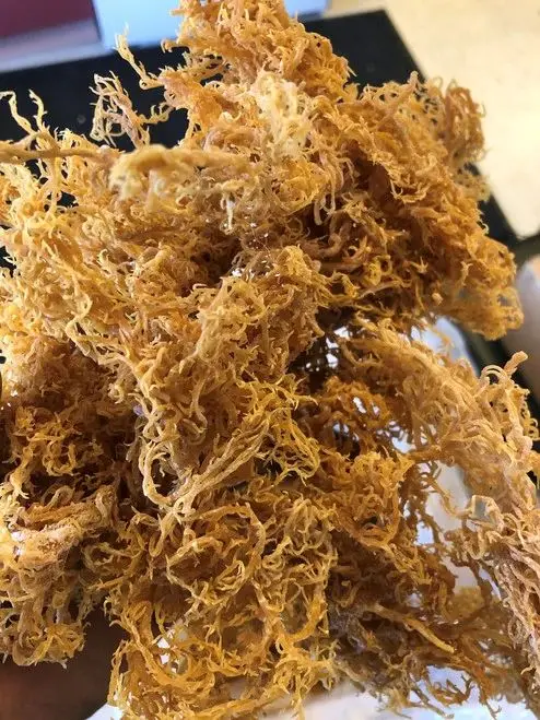 Best Price Dried Eucheuma Cottonii Seaweed / Eucheuma Cottonii Vietnam ...