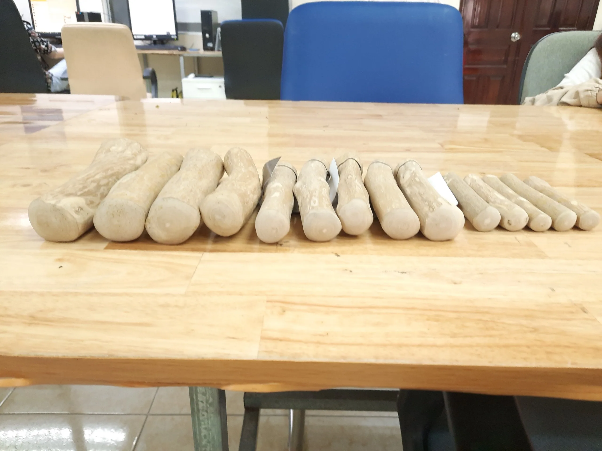 Best Supplier For Coffee Wood Dog Chew Toy/ Coffee Tree Wooden Stick ...