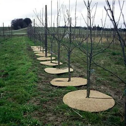 Wholesale Mulch Tree Rings - Protect Trees with Coconut Fibers