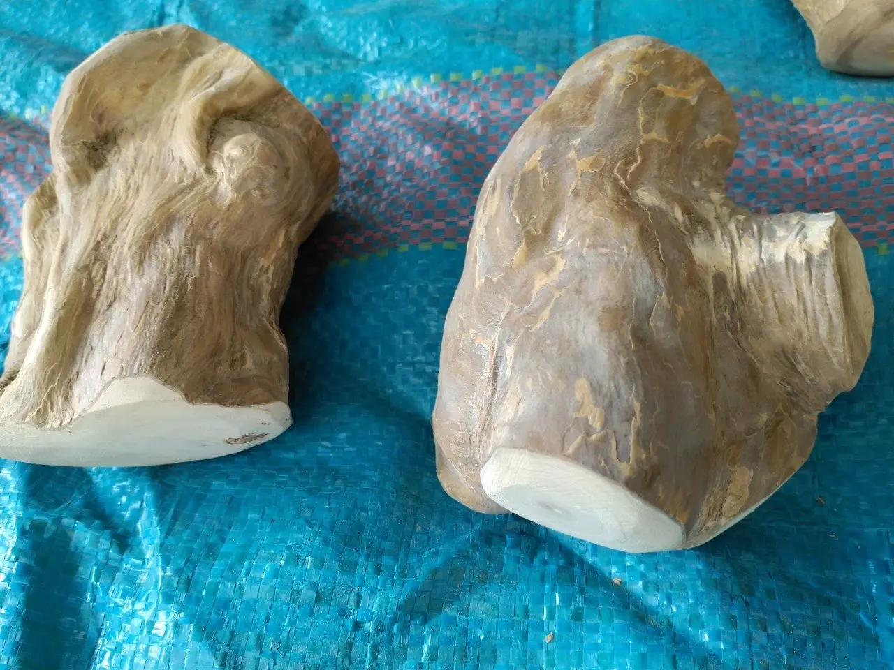 Best Choice for Your Pets - GORILLA CHEW - Eco-Friendly Dog Toy