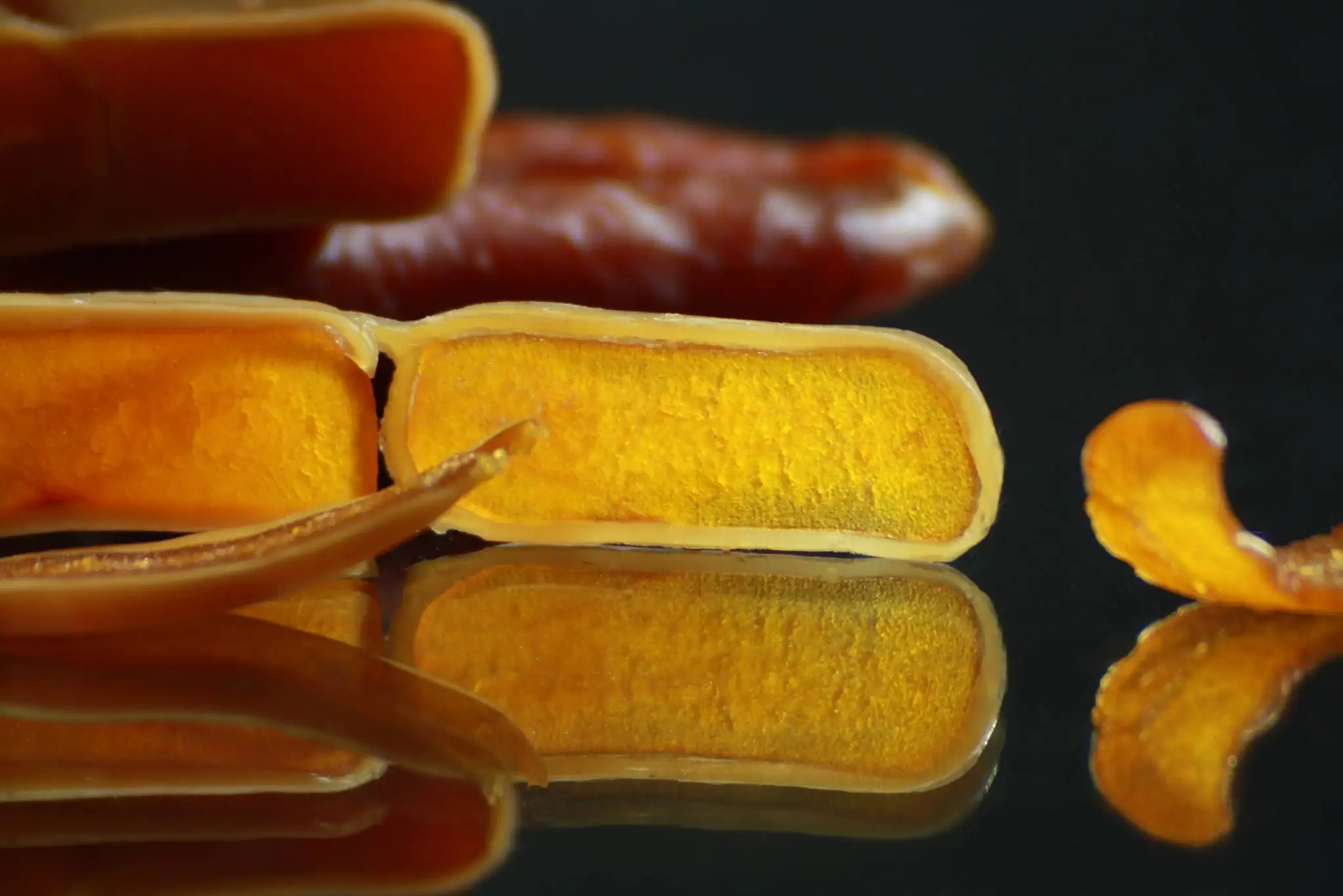 Bottarga Dried Mullet Roe Karasumi - 1kg La Phenicienne