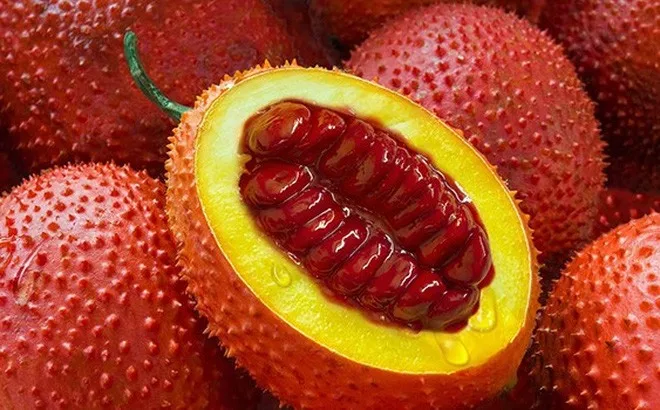 Gac Fruit Powder // Gac Powder For Sale High Quality From Vietnam (ms ...