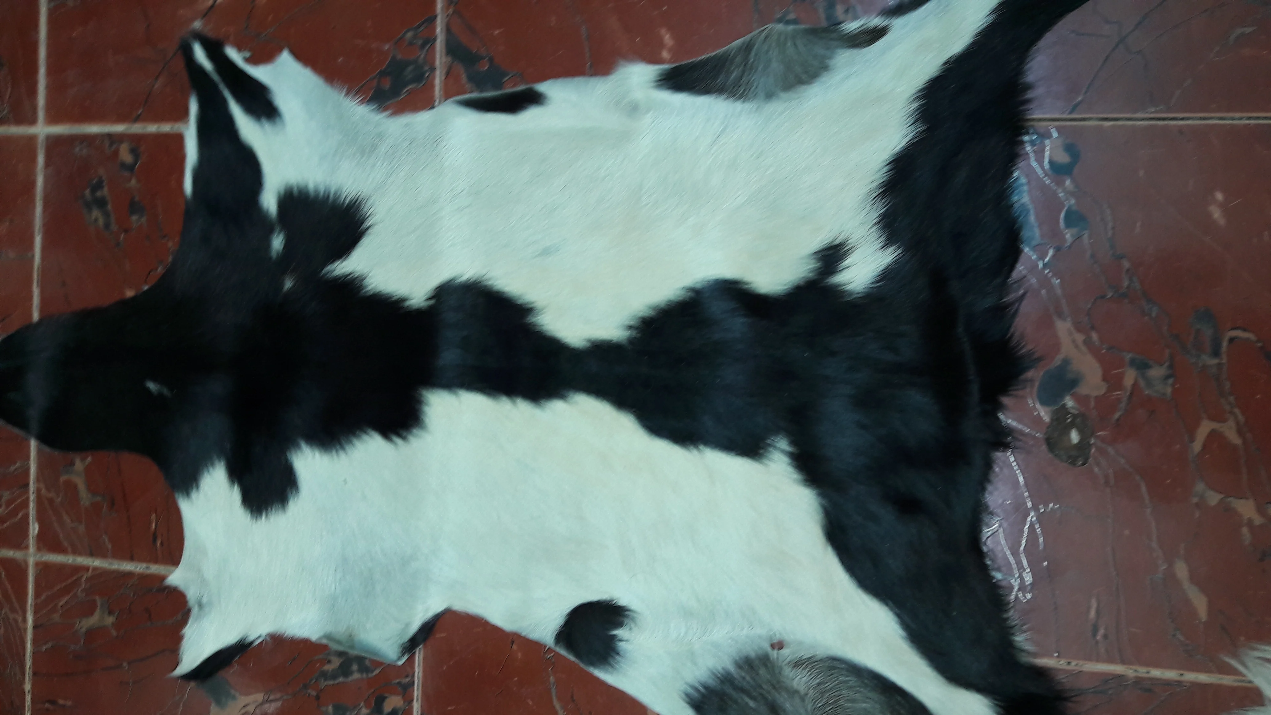 Goat Skin with Hair - Premium Quality for Home Textiles