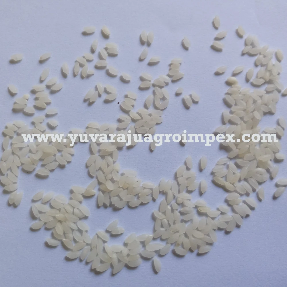 Top Seller Of Seeraga Samba Rice Suppliers In India - Buy South Indian ...