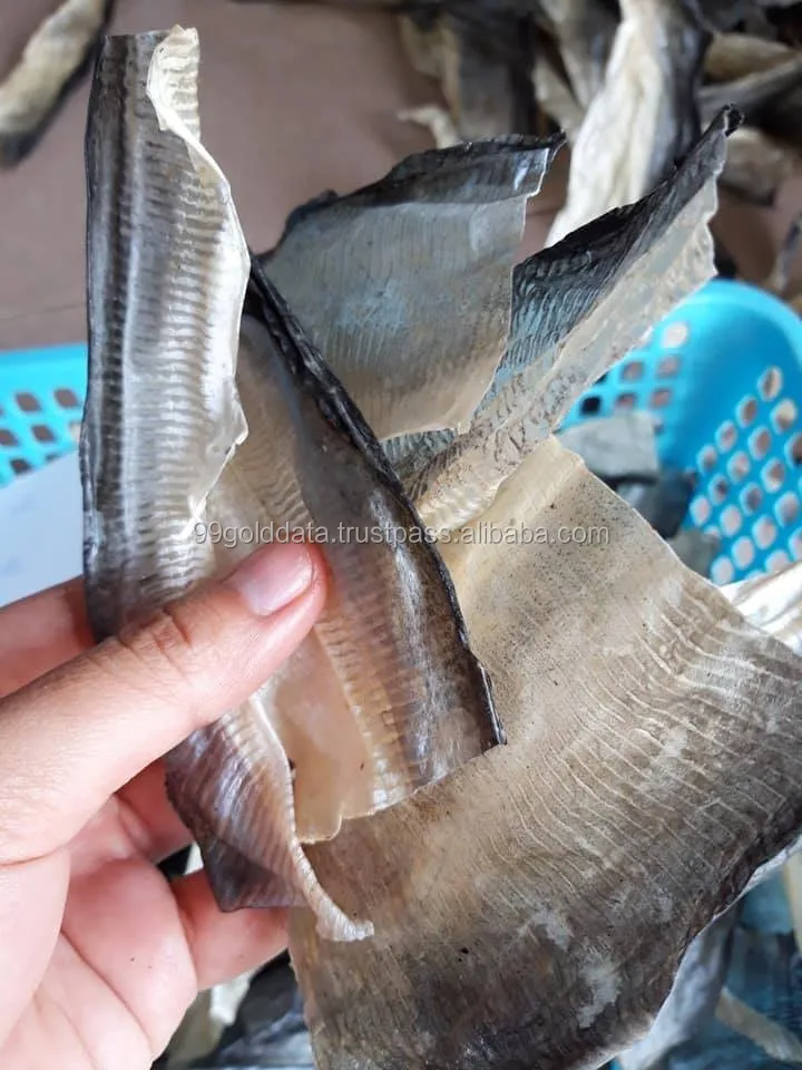 Pangasius Fish Skin Making Collagen - Dried & Certified