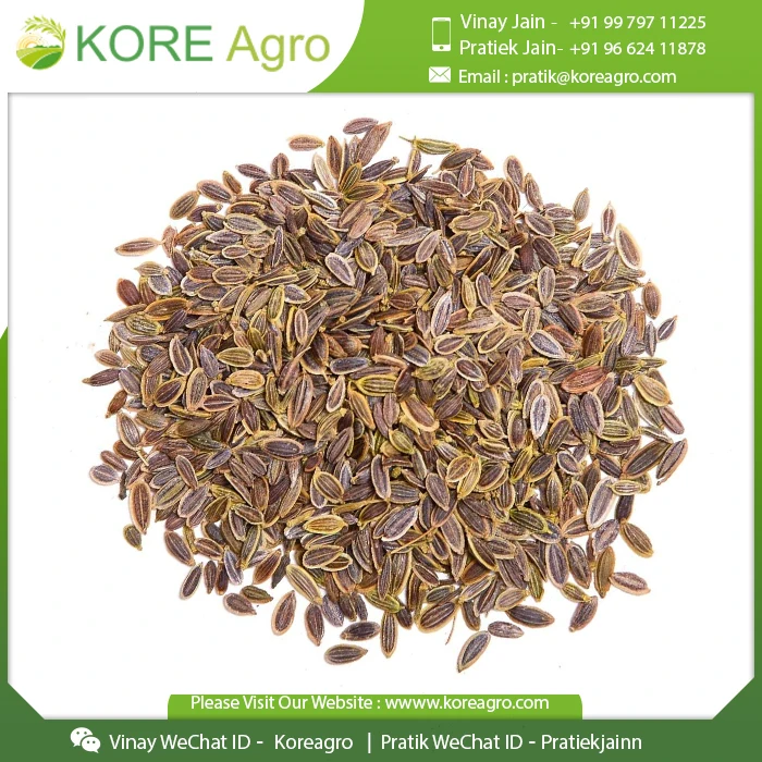 Natural Aromatic Flavor Healthcare Supplement Dill Seeds Single Spices ...