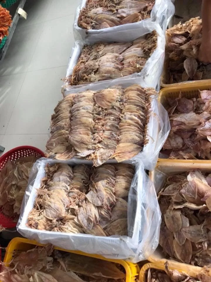 High Quality Dried Octopus From Vietnam (best Seller)-ms. Akina - Buy ...