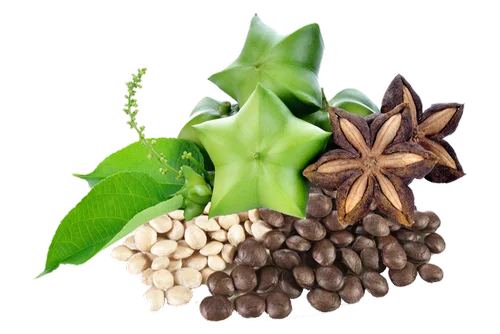 High Nutrition Sacha Inchi Nuts/ Sachi Nuts From Vietnam / Ms Jennie ...