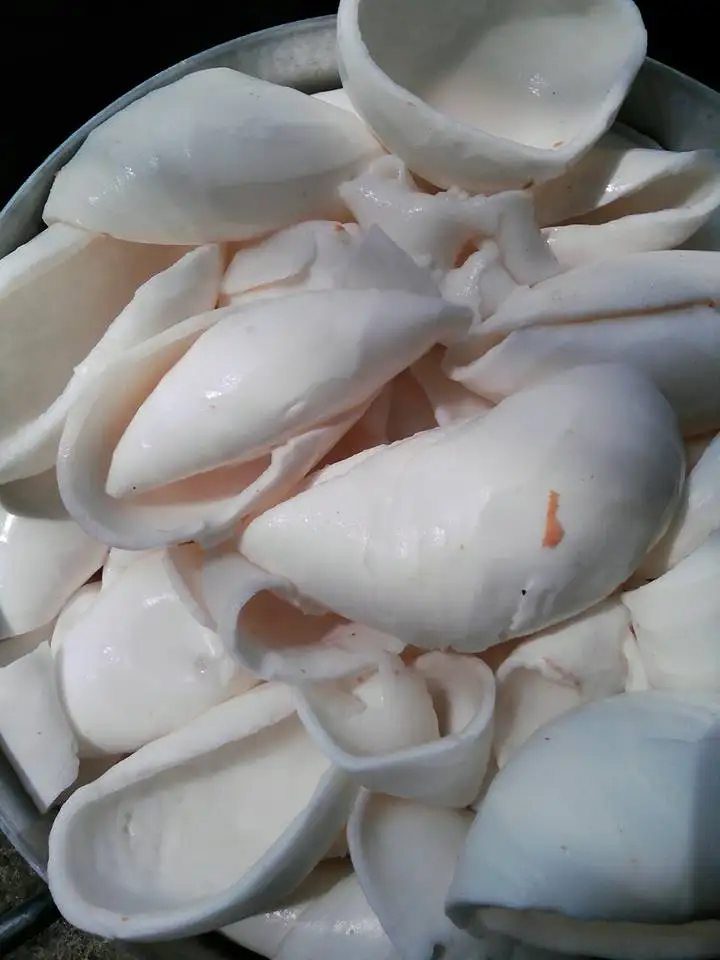 Coconut Meat In Chunk/peeled Young Coconut Meat/coconut Meat Dices ...