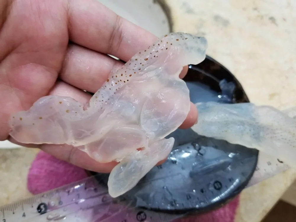 Salted Jellyfish Jellyfish Salad - Unique Seafood Delight