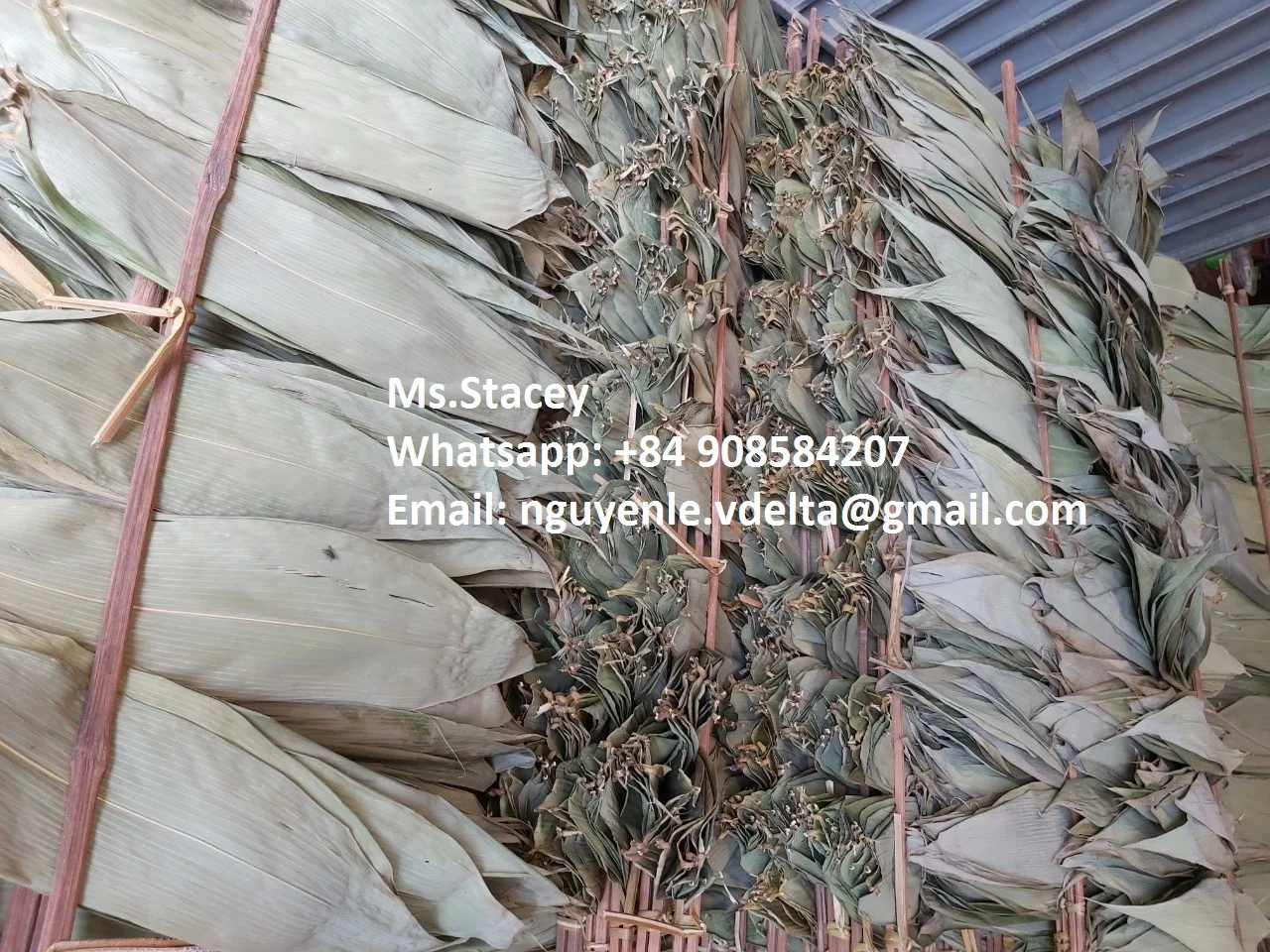 Bamboo Leaf Sushi Decoration - Dried Bamboo Leaves from Vietnam