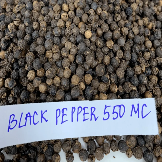 Black Pepper 500/550/570/580 Gl Mc/faq Bulk High Quality Best Price Ws ...