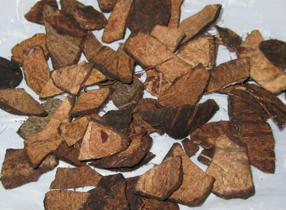 COCONUT SHELLS & CHIPS for MAKING CHARCOAL - Vdelta Quality