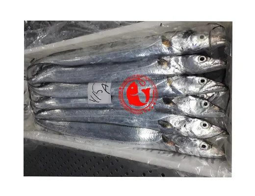 Ribbon Fish From Arabian Sea Ready For Export In Bulk Frozen High ...